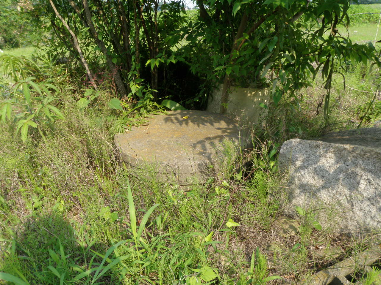 茨城県県古河市 T様宅 検査事例 井戸水検査ドットコム｜井戸水検査・井戸水分析・井戸水の水質検査のことならお任せ下さい。